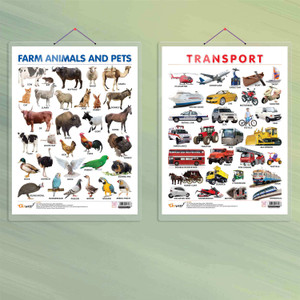 FARM ANIMALS AND PETS CHART HARD LAMINATED and TRANSPORT CHART HARD ...