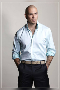 Pitbull Singer Matte Finish Poster Paper Print - Animation & Cartoons ...