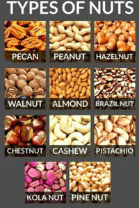 Nuts Chart Poster (Paper, Multicolour, 13X19 Inch) Paper Print ...