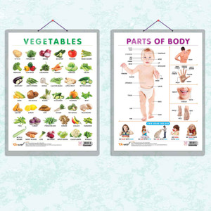 PARTS OF BODY CHART HARD LAMINATED and VEGETABLE CHART HARD LAMINATED ...