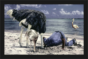 Funny Jokes Comedy Poster with A4 Size Frame F-414 Paper Print - Nature ...