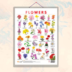 FLOWERS CHART HARD LAMINATED | Blossom Brilliance: Hard Laminated ...