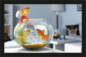 Funny Jokes Comedy Poster with A4 Size Frame F-359 Paper Print ...