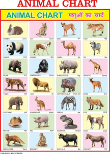 Animals Chart for Kids Big Size, Early Learning Educational Wall Chart ...