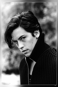Cole Sprouse Matte Finish Poster Paper Print - Animation & Cartoons ...