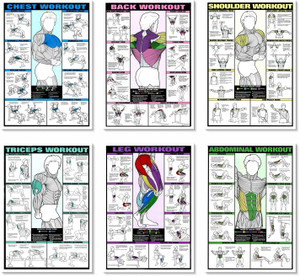 Wall Poster Workout and Exercises Illustrations Bodybuilding ...