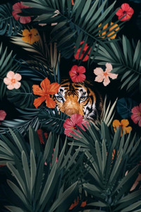 Jungle Poster for Room Wall Decoration, Size - 12 X 18 inches || VE EB ...
