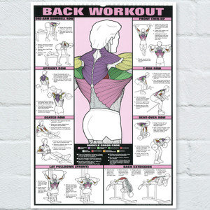 Back Workout Poster, Gym Poster for Wall, Workout Poster for Gym Paper ...