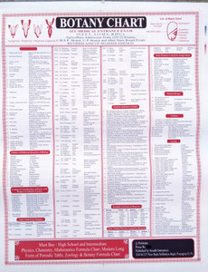 Comprehensive Botany Wall Chart - Educational Plant Science Poster for ...