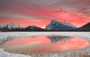 Beautiful backgrounds poster Multicolor Photo Paper Print Poster ...