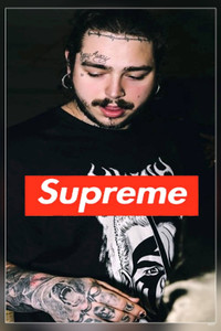 Post Malone Matte Finish Poster Paper Print - Animation & Cartoons ...