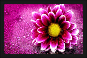 Flower Scenery Nature Poster with A4 Size Frame F-326 Paper Print ...