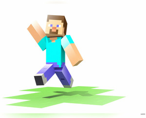 Mojang Steve Minecraft Video Game Matte Finish Poster Paper Print ...