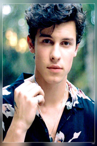 Shawn Mendes Shawn Peter Raul Mendes A Canadian Singer Songwriter And ...