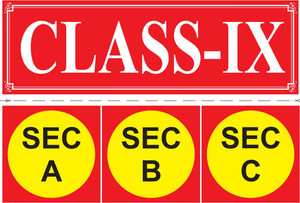 Poster School Sticker Class Ix With Section (Large Print, 36x24 Inches ...
