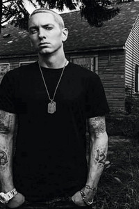 Slim Shady Saga: A Visual Journey in Poster: on 300gsm Best Quality ...