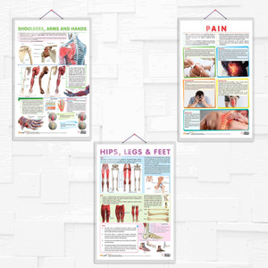 SHOULDER, ARMS AND HANDS chart, PAIN chart and HIPS, LEGS AND FEET ...