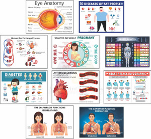 Anne Print Solutions® Eye Anatomy poster Health benefits poster Extra ...