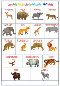 Wild Animals Charts | Educational Charts for kids 300 GSM 12x18 ...