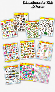 Educational Charts Set for Kids | 45cm×60cm (Extra Large Size to ...