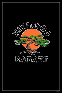Miyagi Do Cobra Kai Karate Kid Miyagi Do Matte Finish Poster Paper ...