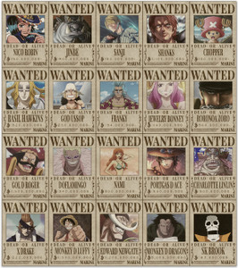 Set of 20 onepiece old bounty collage kit | anime poster of onepiece ...