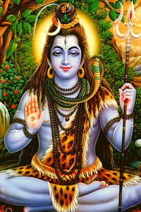 Shiv ji Poster Shiv Parvati,Mahadev,Mahakal,Bholenath,Lord Shiva, Hindu ...
