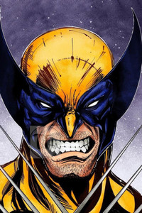 Superhero Wolverine Poster, Unframed, With Double Sided Tape Paper ...