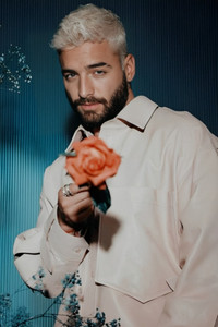 Maluma for Room Wall Decoration, Size - 12 X 18 inches || EB ART 5833 ...