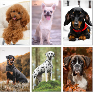 Dog Posters for Wall Decoration (12 x 18 inch), Puppy Dog Posters, Pet ...