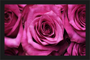 Flower Scenery Nature Poster with A4 Size Frame F-277 Paper Print ...