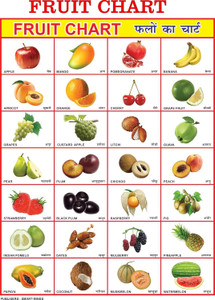 Fruits Chart for Kids Learning | Big Size Educational Wall Chart for ...