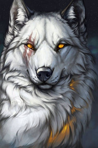 Wolf Poster | Wolf Posters for Room | Unframed | With Self Adhesive ...