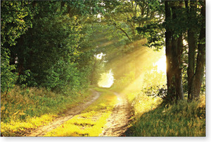 Nature Wall Poster 3M Double Sided Tape Wall Design High Resolution ...