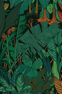 Jungle Poster for Room Wall Decoration, Size - 12 X 18 inches || VE EB ...