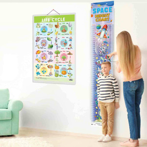 Life Cycle Chart and SPACE HEIGHT CHART | Set of 2 charts 1 Educational ...