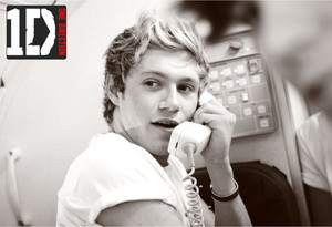 Poster Niall Horan One Direction sl-14827 (LARGE Poster, 36x24 Inches ...