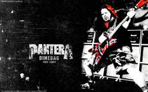 Poster Music Pantera Band (Music) United States Large Poster sl-8860 ...