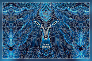 Tame Impala Limited Matte Finish Poster P-5488 Paper Print - Animation ...