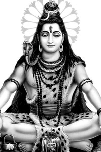 Shiv ji Poster Shiv Parvati,Mahadev,Mahakal,Bholenath,Lord Shiva, Hindu ...