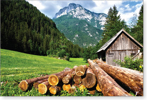 Nature Wall Poster 3M Double Sided Tape Wall Design High Resolution ...