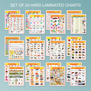Educational Charts for kids|Hard Laminated Charts Set 24(12Sheet)+2 ...