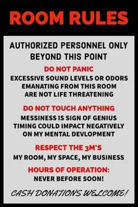Room Rules Poster | Funny Poster | HD Poster for Wall Decor (300GSM ...