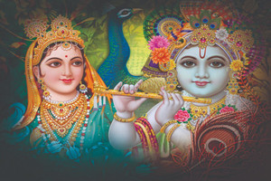 Lord Radha Krishna Poster (12x18 Inch, 300GSM Thick Paper with Gross ...