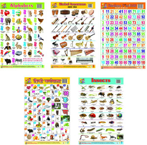 Combo of 5 Learning Charts Alphabet | Hindi Varnmala | Insects ...