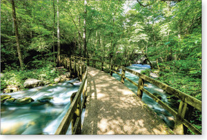 Nature Wall Poster 3M Double Sided Tape Wall Design High Resolution ...