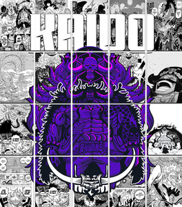 Set of 20 kaido wall collage kit | A4 (11.9x8.3 inch) | onepiece ...
