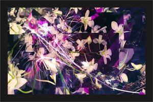 Flower Scenery Nature Poster with A4 Size Frame F-280 Paper Print ...