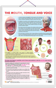 THE MOUTH, TONGUE AND VOICE CHART | The Art of Communication ...