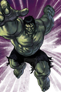 Hulk Poster |Hulk Posters for Room | Superhero Hulk Posters | Unframed ...